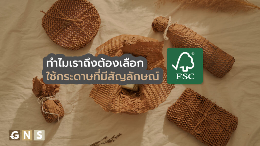 FSC คืออะไร ? ป่าปลูกเชิงพาณิชย์ คืออะไร ? - GNS Thailand